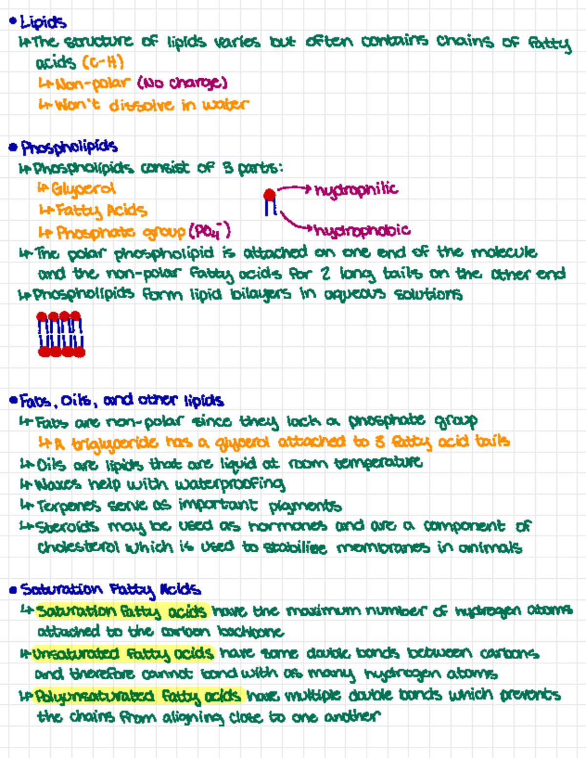Notes Page 13 - • Lipids The structure of lipids varies but often ...
