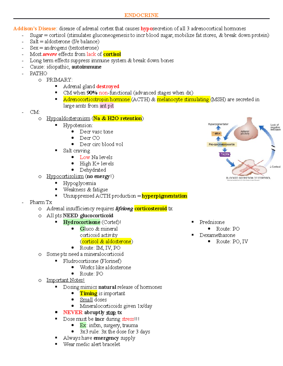 Endocrine Content - ENDOCRINE Addison’s Disease: disease of adrenal ...