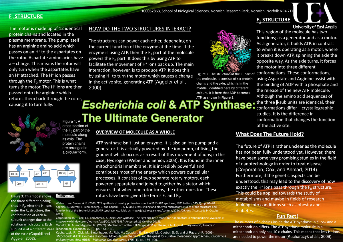 ldh poster 1000 - F 0 STRUCTURE The motor is made up of 12 identical ...