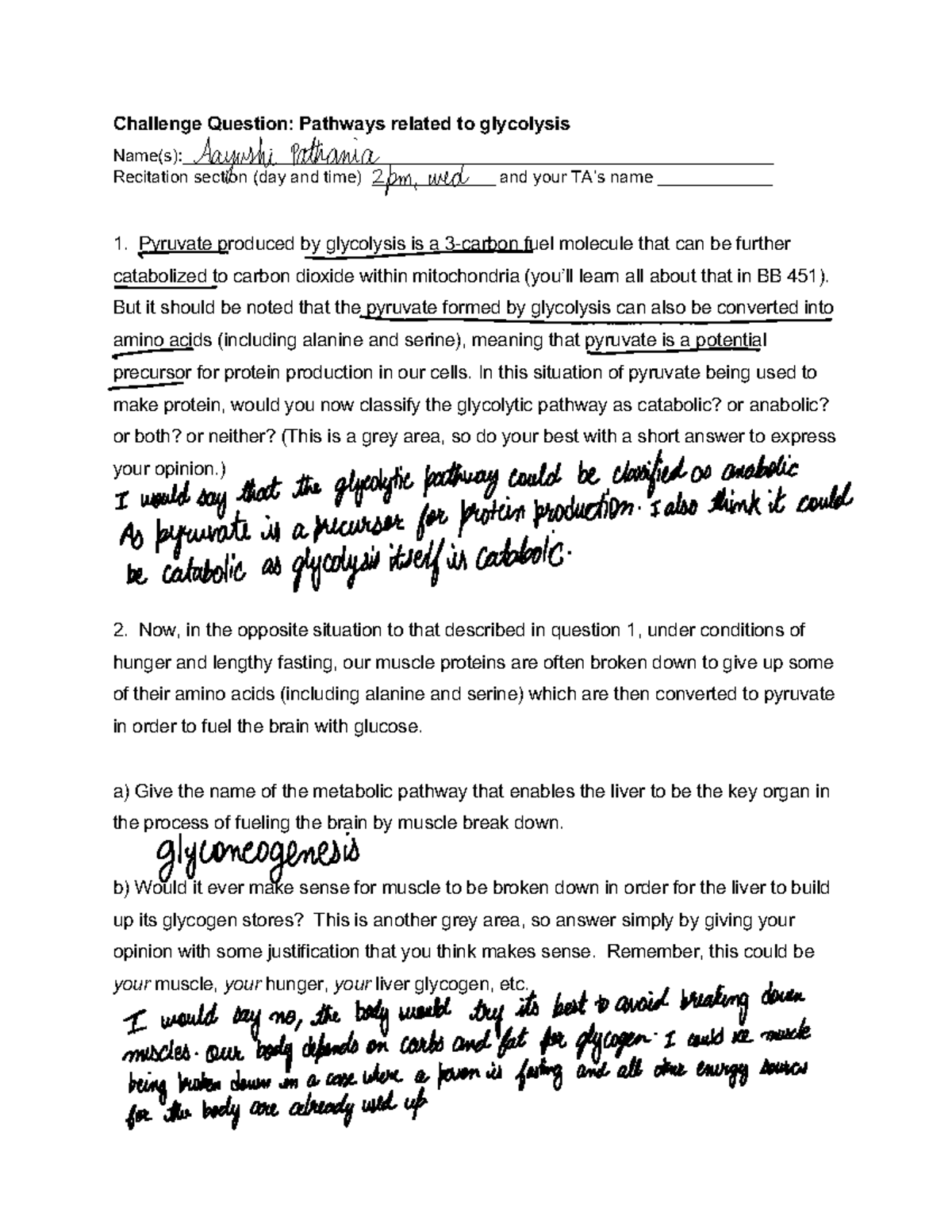 Challenge+Question - Pyruvate produced by glycolysis is a 3-carbon fuel ...