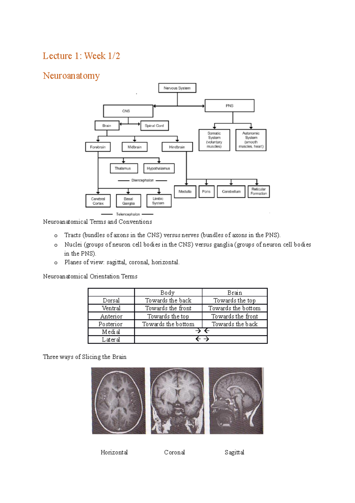 Lecture 1 - Lecture 1: Week 1/ Neuroanatomy Neuroanatomical Terms and ...