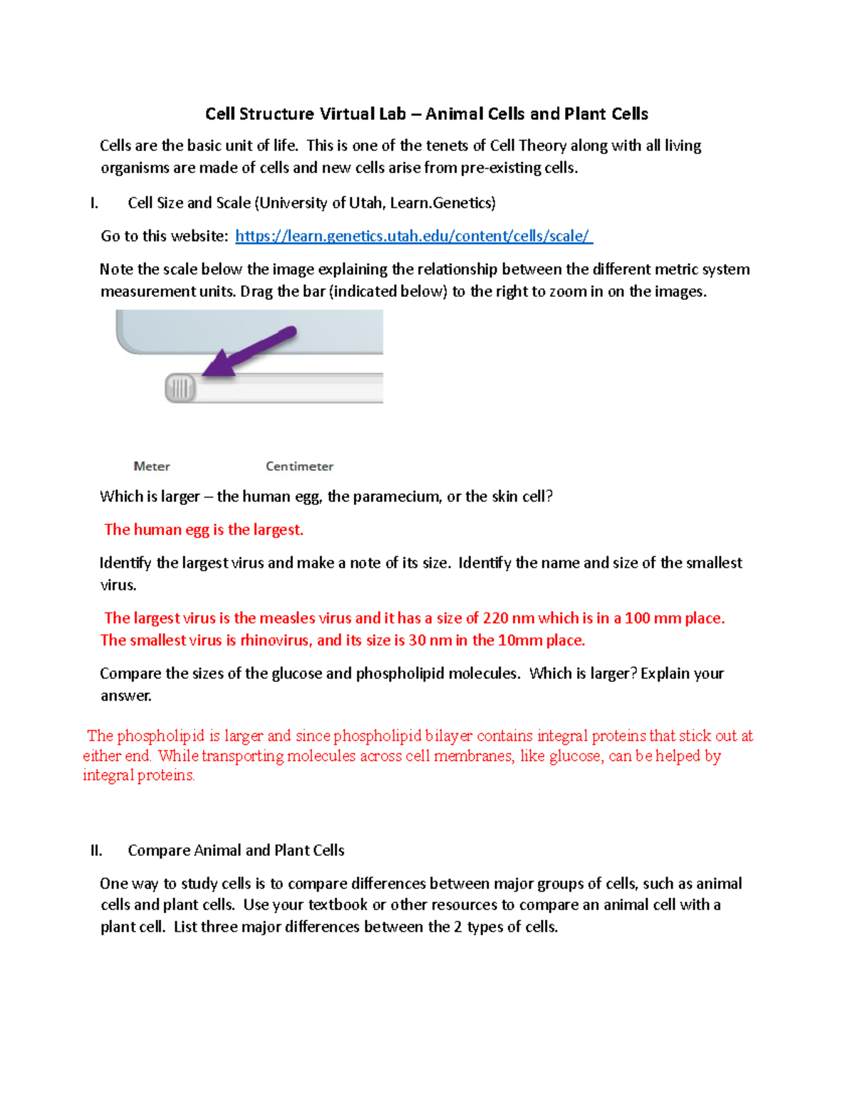 Cell Structure Virtual Lab Animal Cells and Plant Cells - Studocu