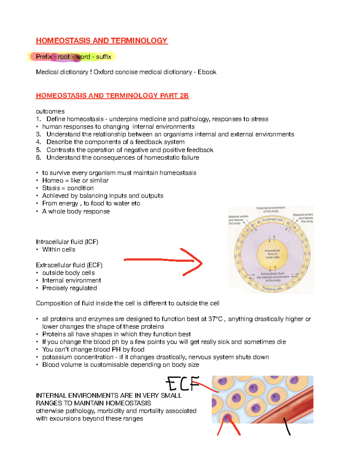 HUBS1403 week 1 lectures - HOMEOSTASIS AND TERMINOLOGY Prefix - root ...