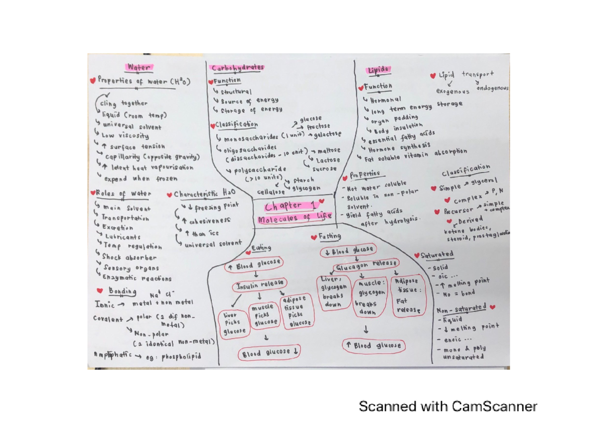 CH 1- Molecules of Life - biology - Biochemistry - Studocu