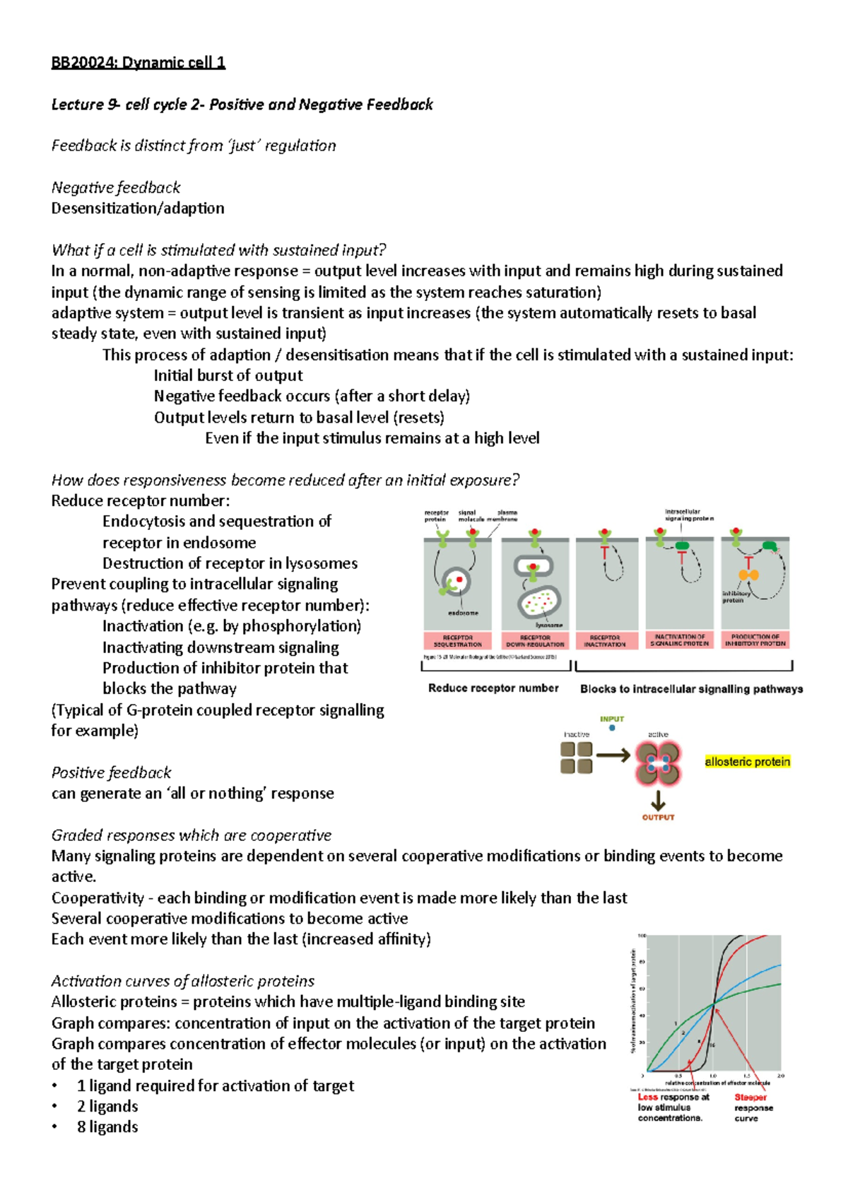 BB20024- cell cycle- positive and negative feedback - BB20024: Dynamic ...