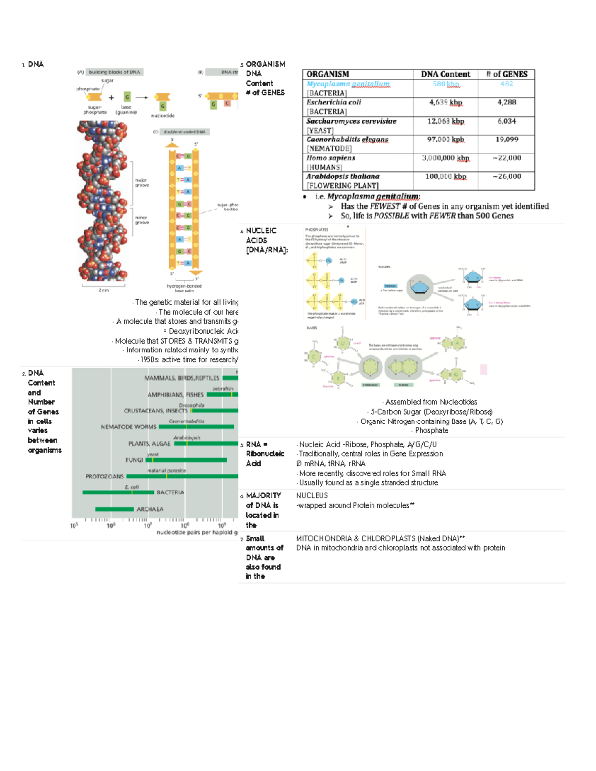 Cell test 2 - Lecture notes 7-11 - 1 · The genetic material for all ...