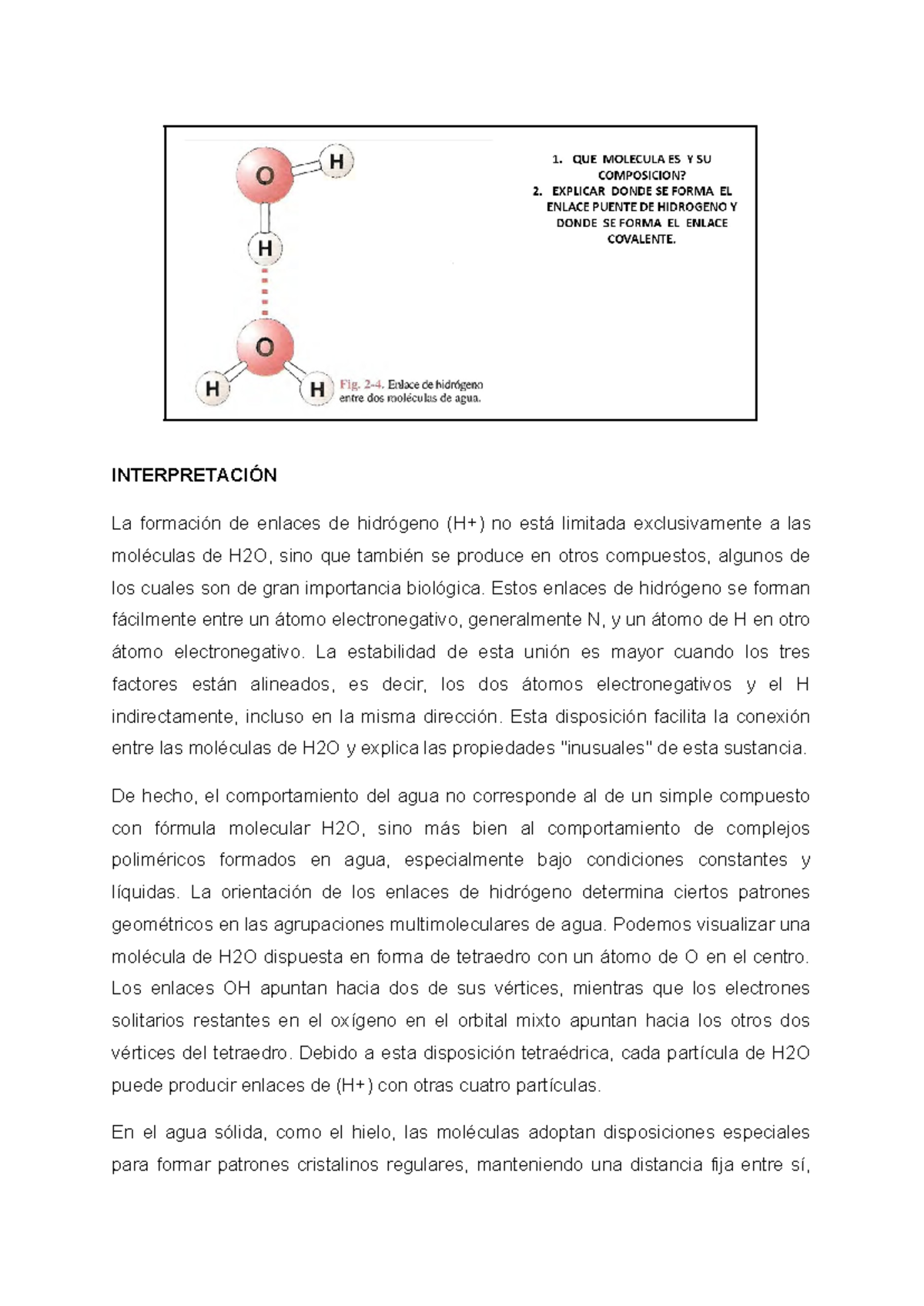 - H2O - Seminario (Bio) - Apuntes H20 - BIOQUIMICA - INTERPRETACIÓN La ...