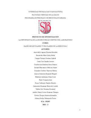 PC1 - Texto argumentativo. - UNIVERSIDAD PRIVADA SAN JUAN BAUTISTA FACULTAD DE PSICOLOGIA ...