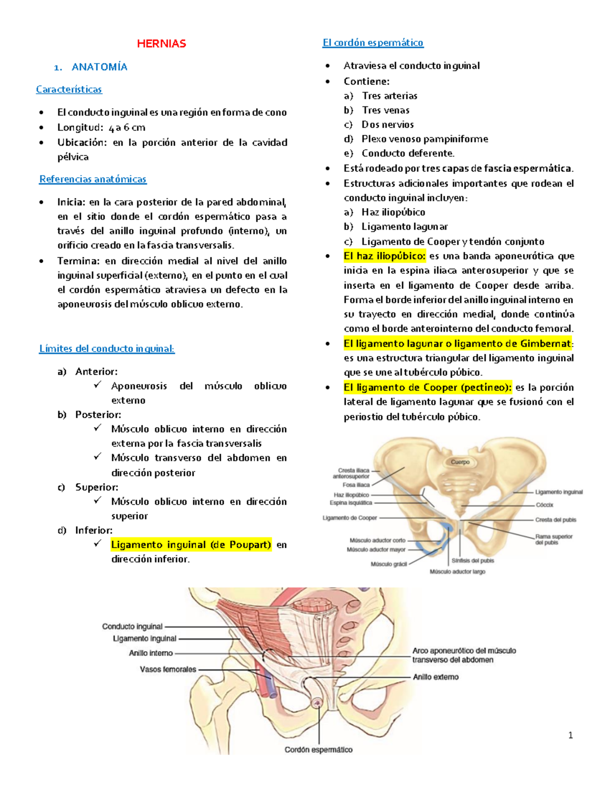 Hernias - HERNIAS 1. ANATOMÍA Características El conducto inguinal es ...