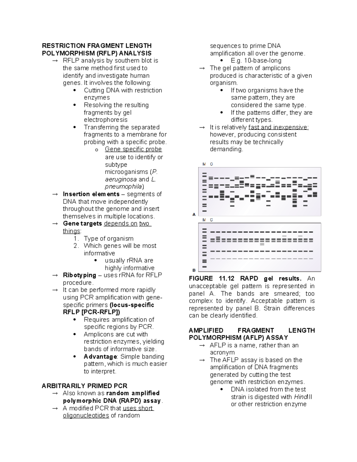 C11 - 232-234 - molebiology note - RESTRICTION FRAGMENT LENGTH ...