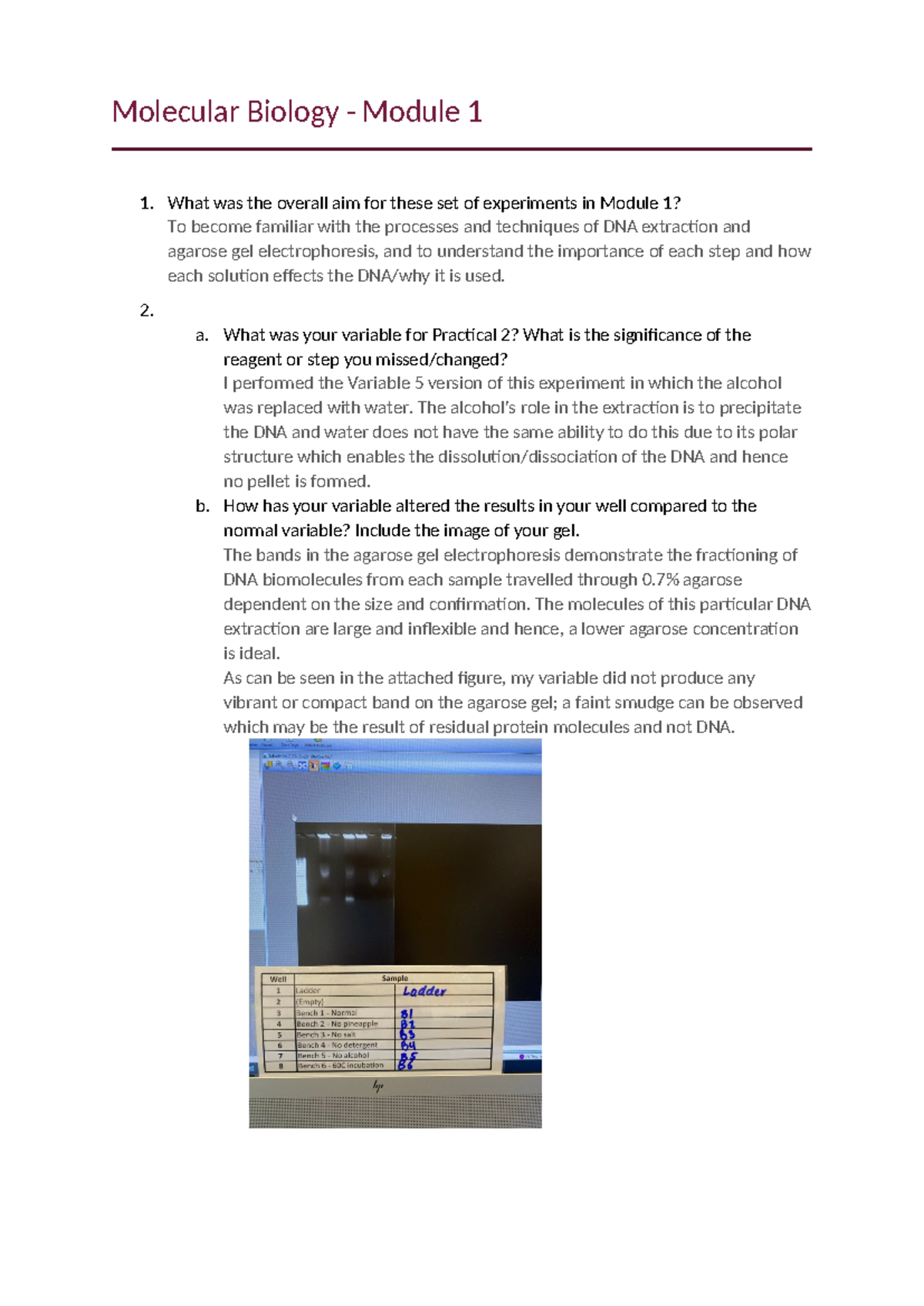 Module 1 - Mol Bio - Molecular Biology - Module 1 1. What was the ...
