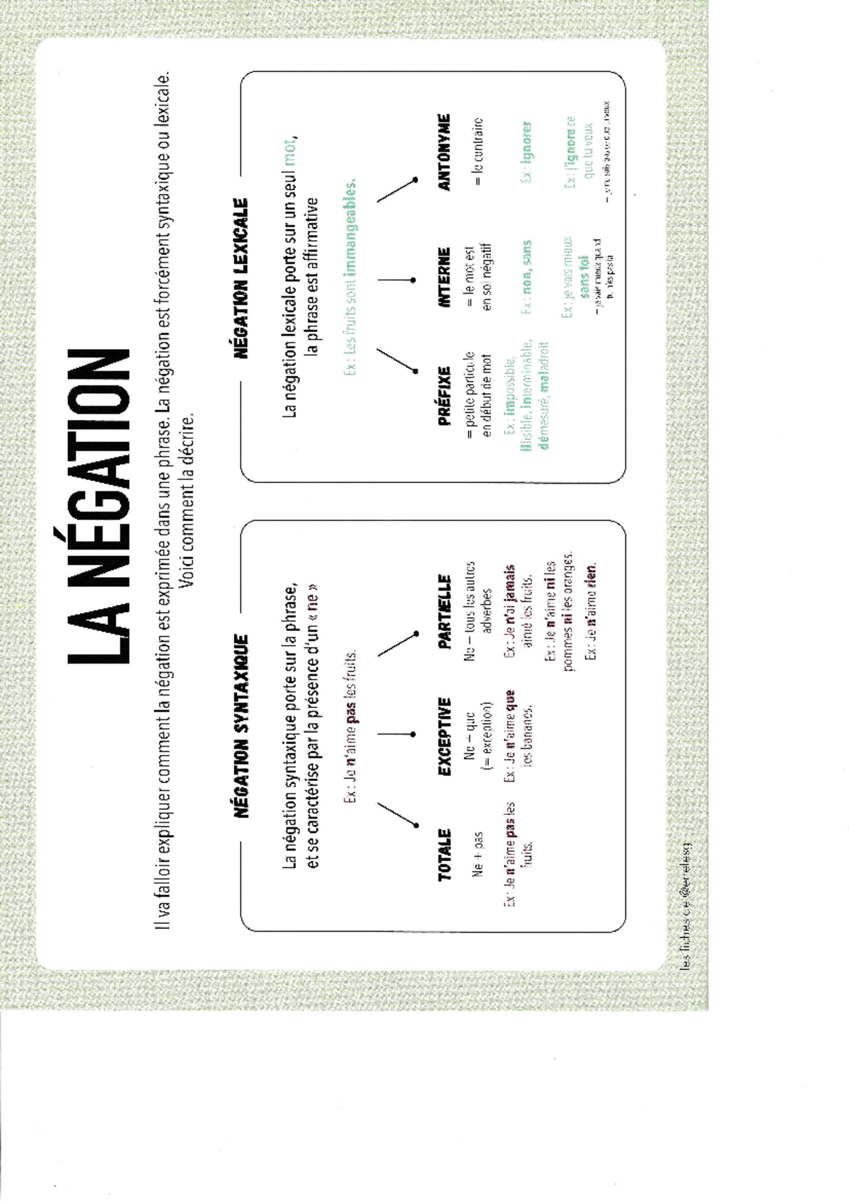 Grammaire LA Negation - Français - Studocu