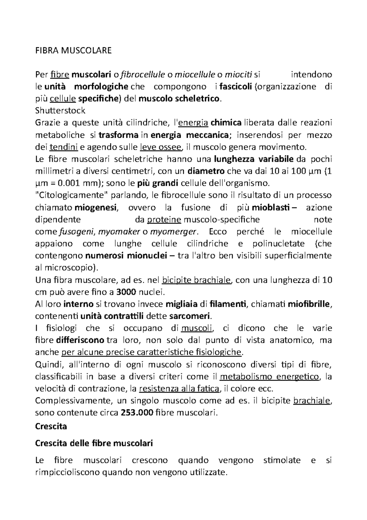 Fibra Muscolare - FIBRA MUSCOLARE Per fibre muscolari o fibrocellule o ...