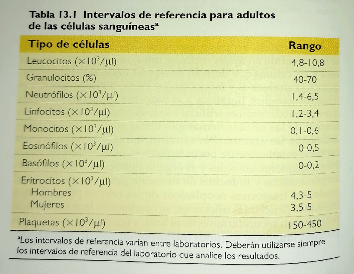 Leucocitos - Imágenes - Anatomia patologica - Studocu