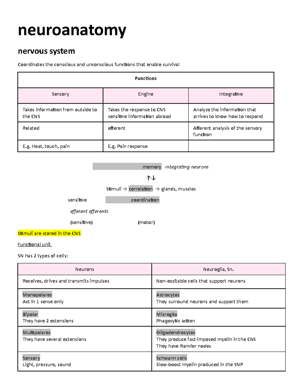 Neuro anatomy 1 - Summary assignment on general information about ...