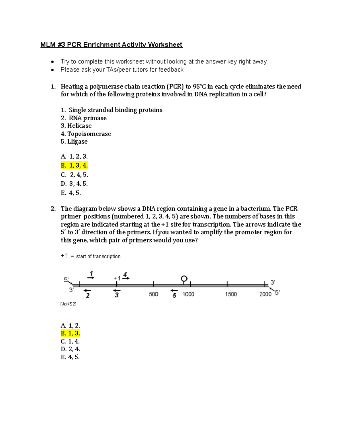 MLM3 Enrichment Activity Answer Key - MLM #3 PCR Enrichment Activity ...