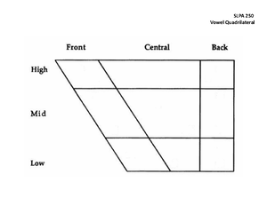 Descriptive Phonetics And Normal Speech Development - Descriptive ...
