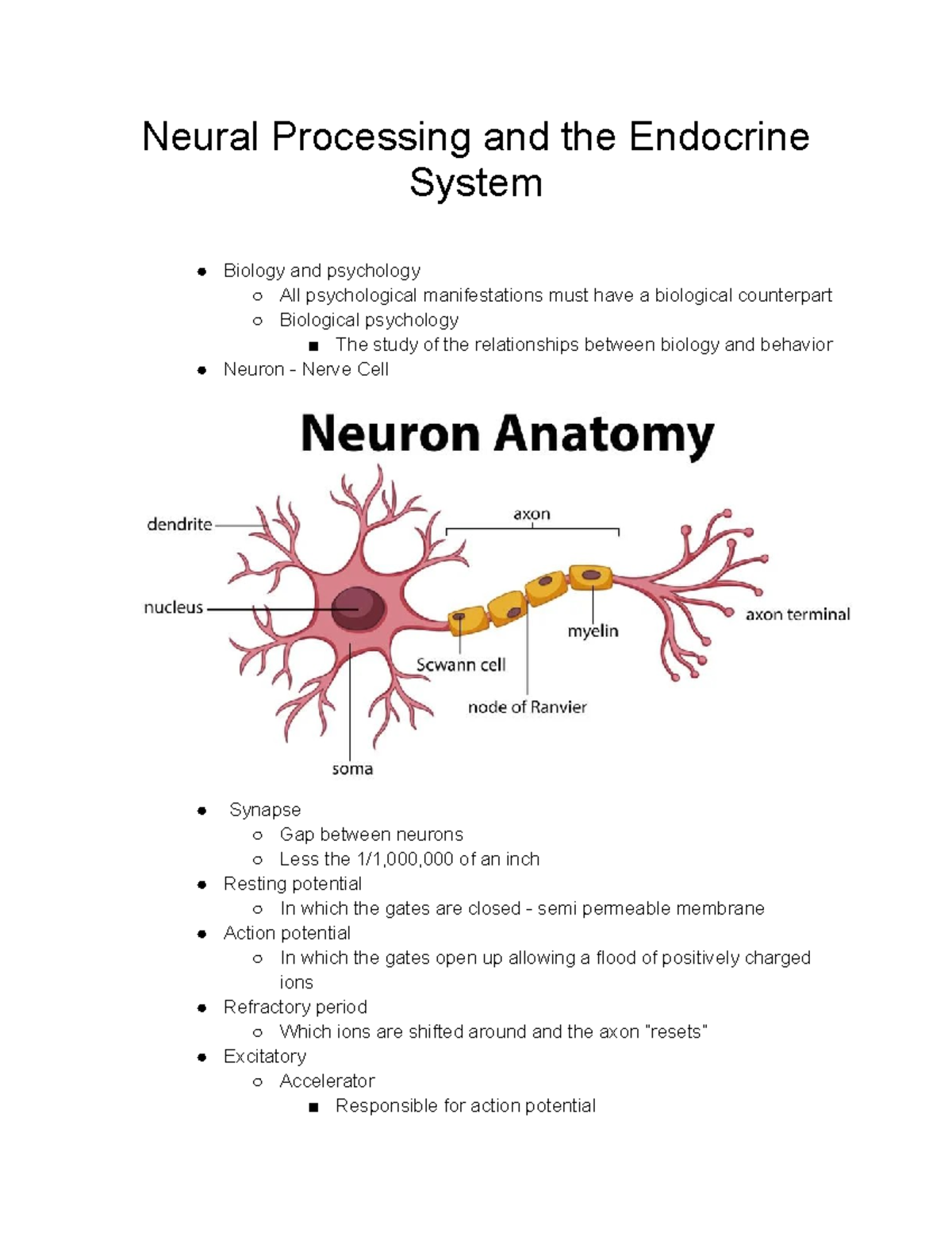 Psyc unit 3 notes - Neural Processing and the Endocrine System Biology ...
