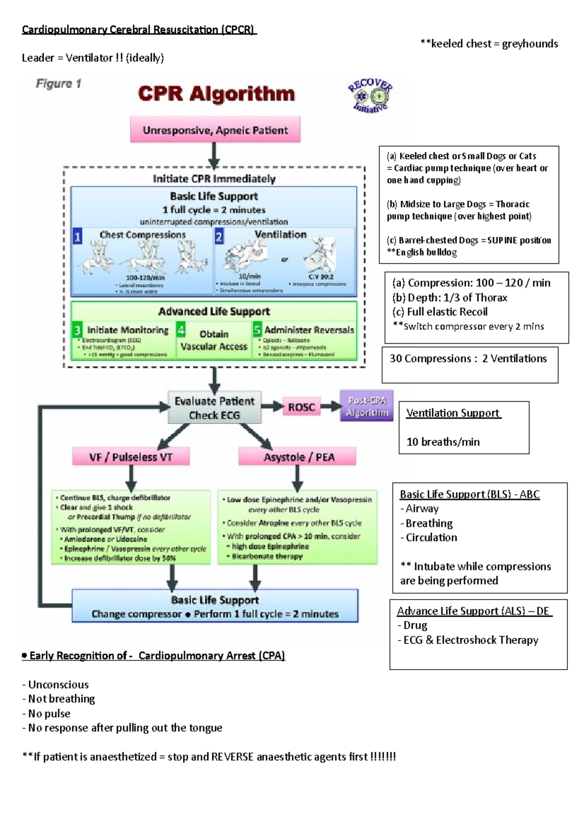 CPR - Lecture notes 16 - Cardiopulmonary Cerebral Resuscitation (CPCR ...