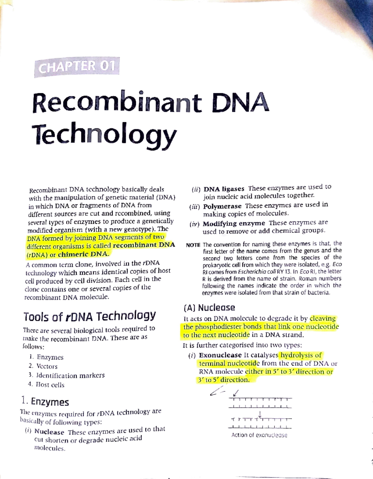 Adobe Scan 17 Sep 2023 - Biotechnology - CHAPTER 01 Recombinant DNA ...