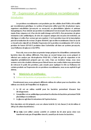 Chapitre 5 - La synthèse des protéines - CHAPITRE 5 : LA SYNTHESE DES ...