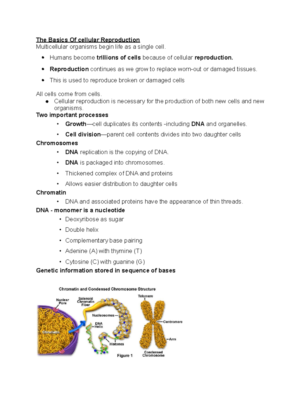 Bio 1012 Lab 7 Notes - The Basics Of cellular Reproduction ...