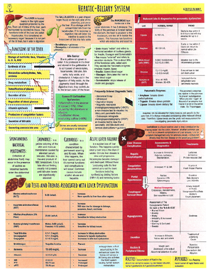 HBP rainbow chart - Blood Pressure Categories - Blood Pressure ...
