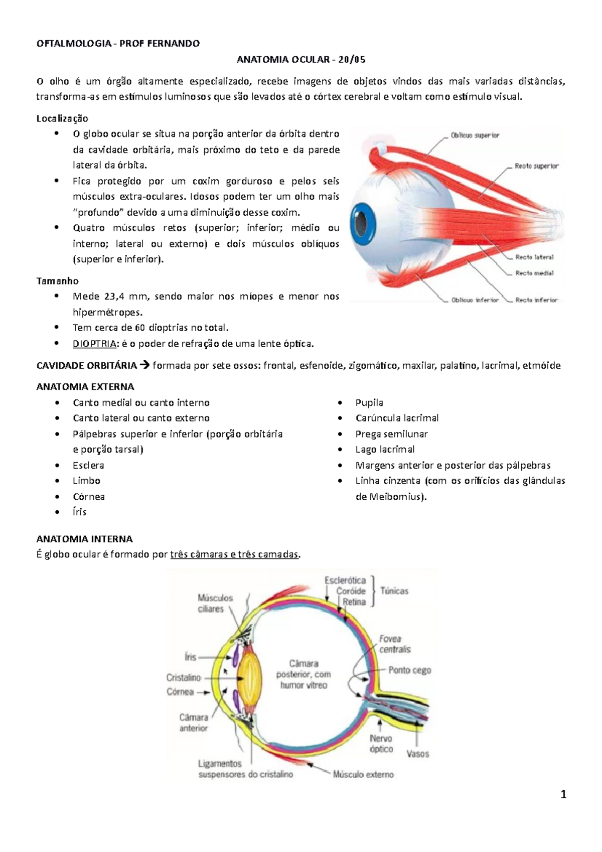 Aula Anatomia Ocular Prof Fernando Oftalmo - OFTALMOLOGIA - PROF FERNANDO ANATOMIA OCULAR - 20 ...