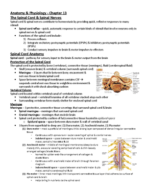 Endocrine System - Answer Key - Ch. 16 – The Endocrine System – ANSWER ...