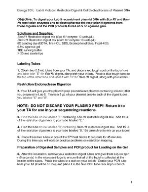 Lab 6 pre-lab 2-27-19 - Lab 6 pre-lab (15 points) Name ...