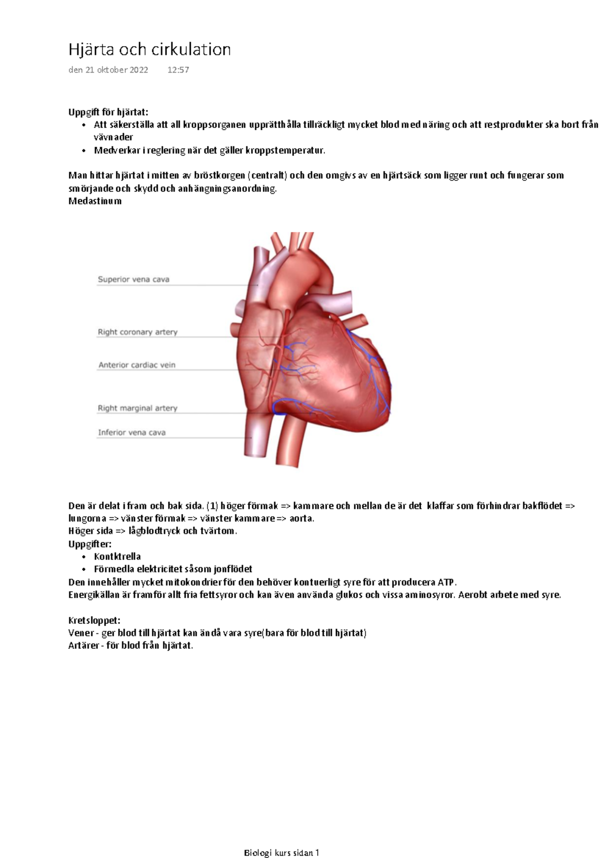 Hjärta och cirkulation - Uppgift för hjärtat: Att säkerställa att all ...