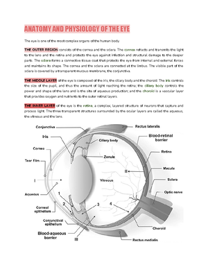 OAP Chapters 1-4 - ocular anatomy and physiology - OCULAR ANATOMY ...