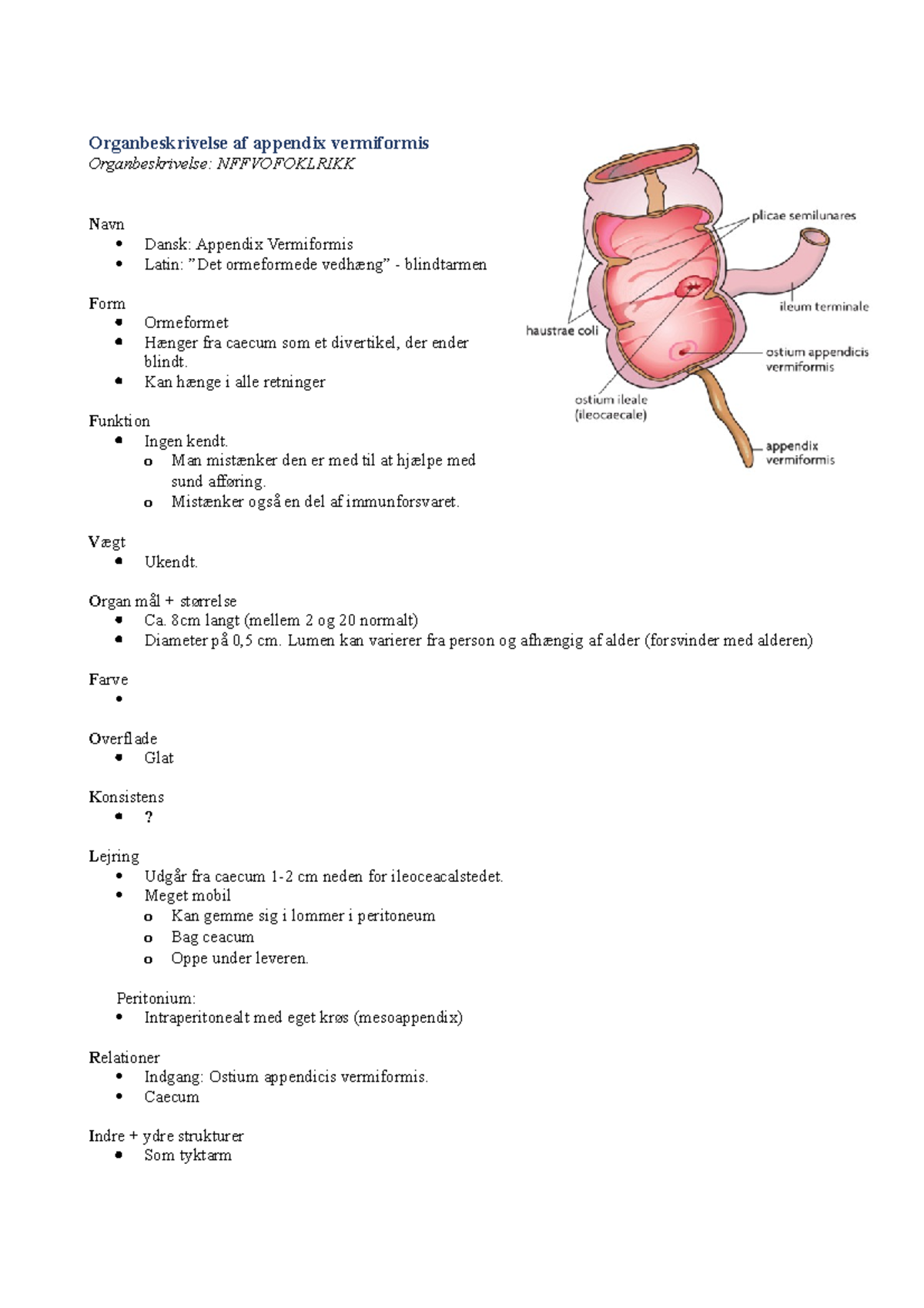 Appendix Vermiformis - Kan hænge i alle retninger F unktion Ingen kendt ...