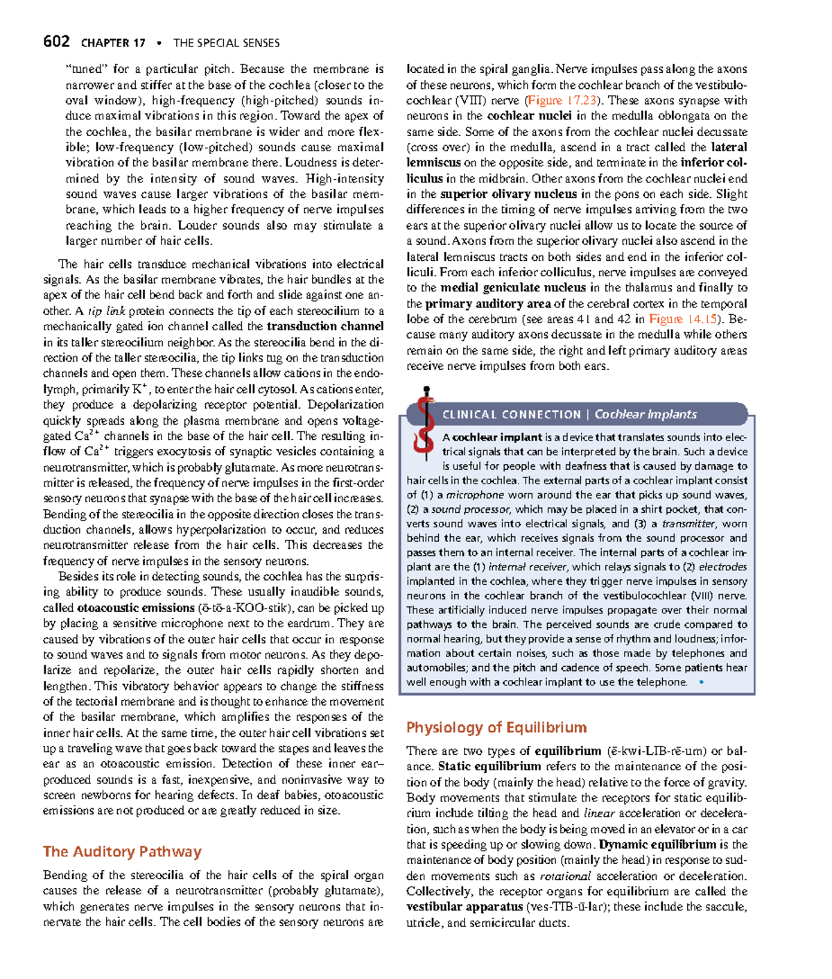 Anatomyand Physiology-212 - 602 CHAPTER 17 • THE SPECIAL SENSES located ...