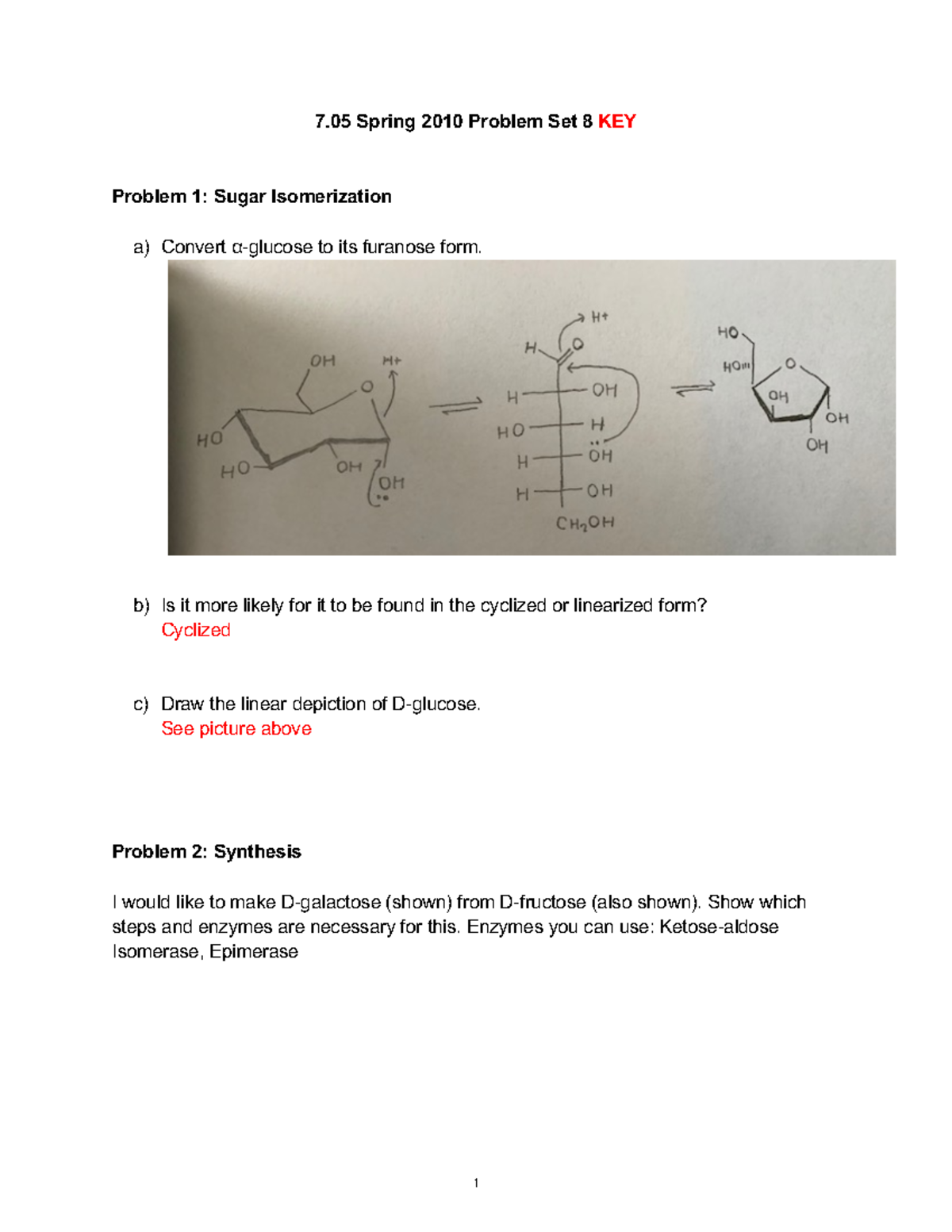 biochem homewwork 1 - 7 Spring 2010 Problem Set 8 KEY Problem 1: Sugar ...