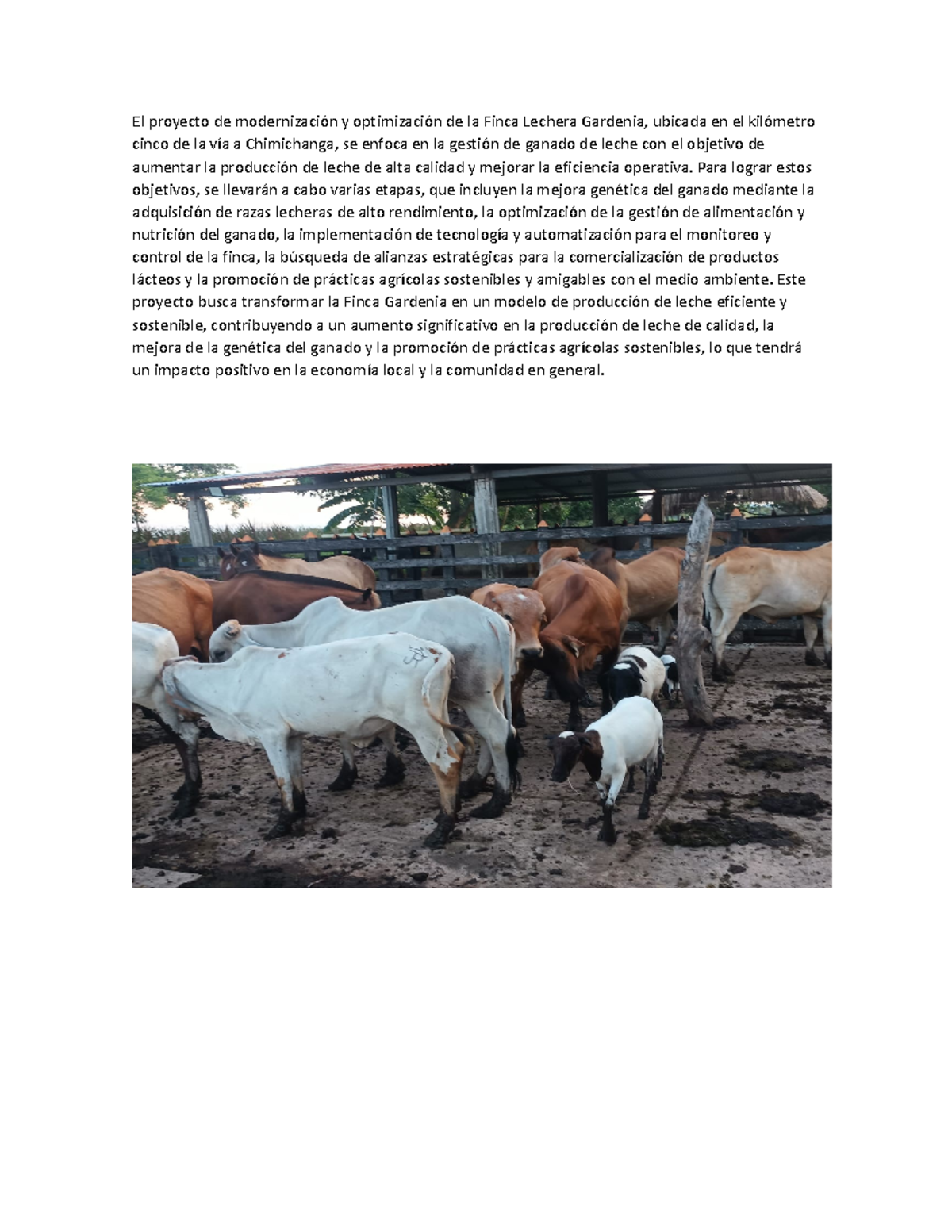 Propuesta mary - pooo,o,o,oimk - El proyecto de modernización y ...