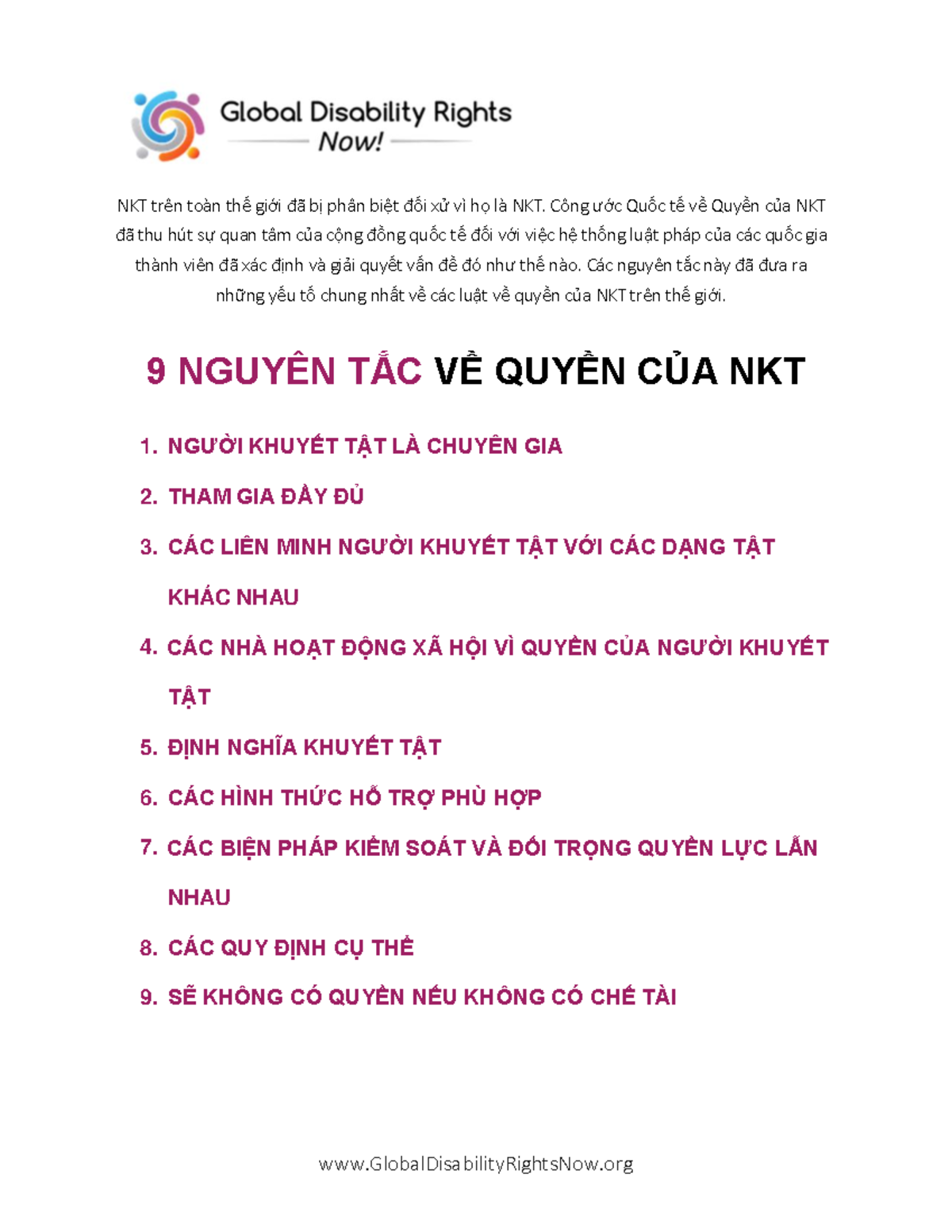 All Disability Rights Principles Vietnamese - GlobalDisabilityRightsNow ...