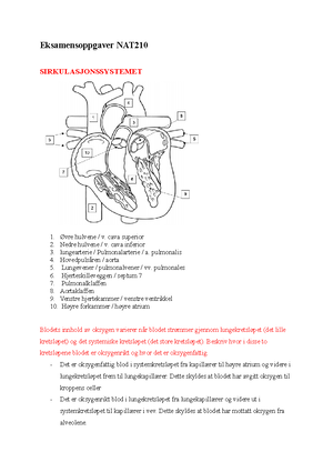 Spørsmål leiring i seng - LEIRING I SENG - HØYT RYGGLEIE OG SIDELEIE ...