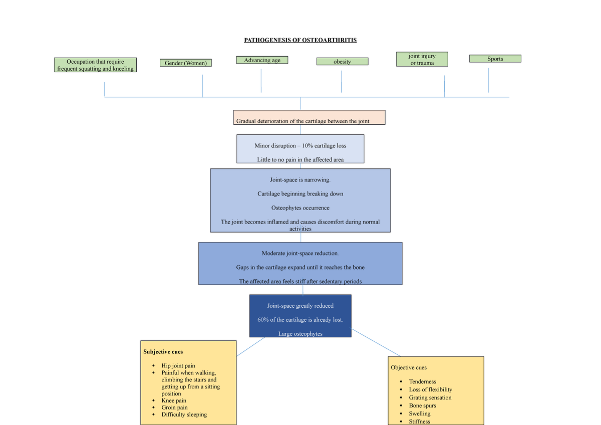 Pathogenesis AND LTP OF Degenerative Osteoarthritis - PATHOGENESIS OF ...