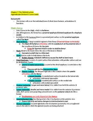 Chapter 9 obj 3&4 - Dr Brinn - Chapter 9 The muscular system ...