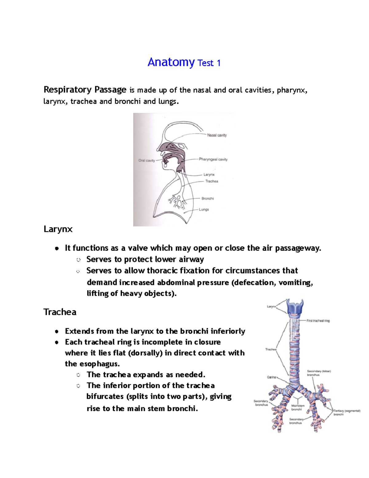 Anatomy Test 1 - AnatomyTest 1 Respiratory Passage is made up of the ...