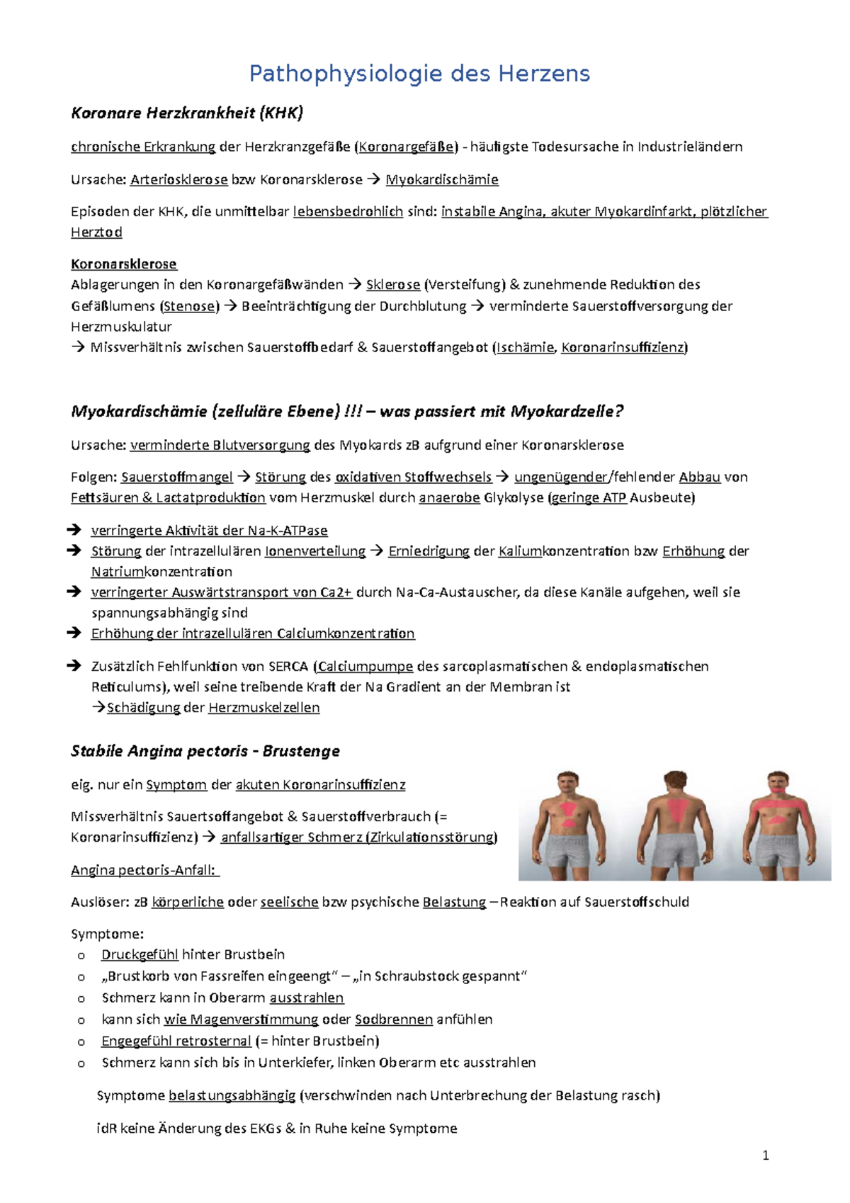 Pathophysiologie des Herzens - Pathophysiologie des Herzens Koronare ...