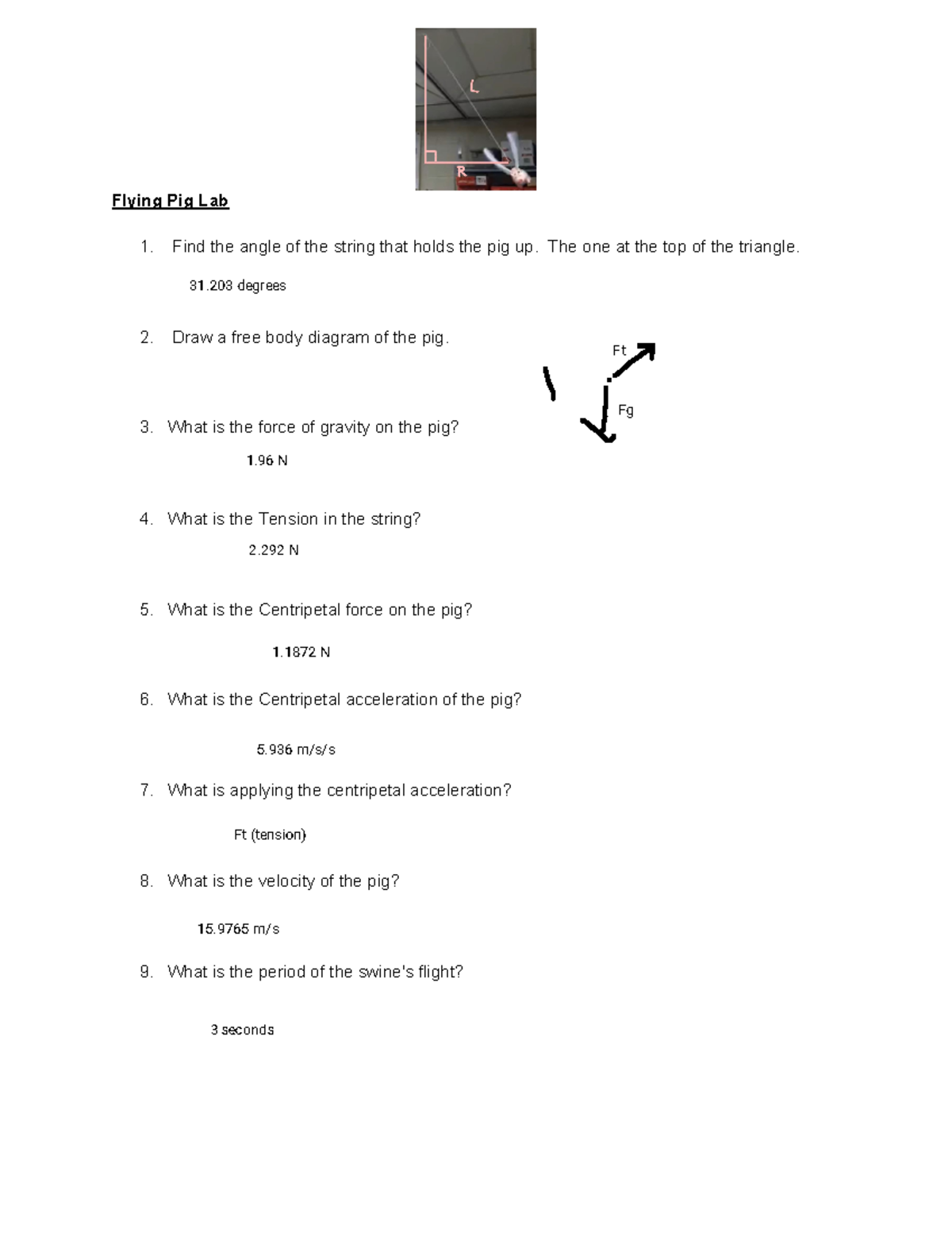 Kami Export - Preston Parsons - Flying Pig - 3450:427 - Flying Pig Lab ...