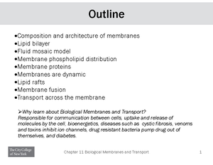 Biochem final glycolysis - Outline Bioenergetics Fates of glucose ...