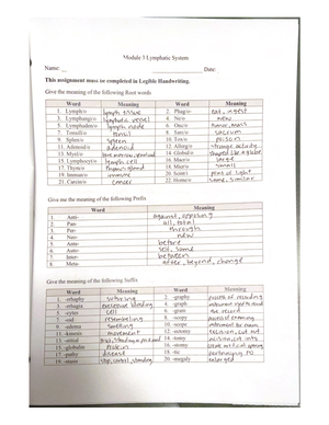 Medical Terminology Worksheet Respiratory - BIO 201 Module 7 ...