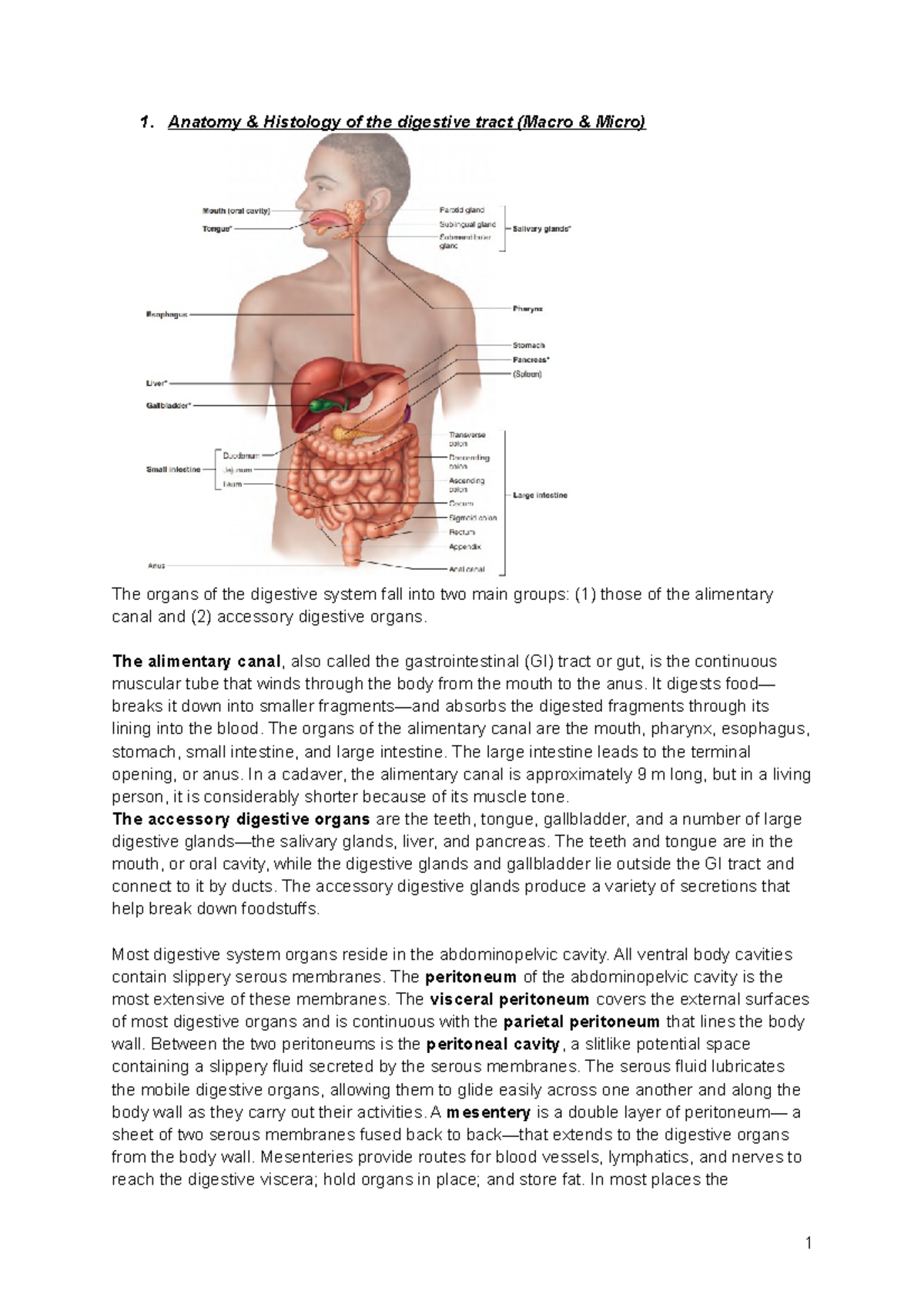 Case 6 Digestive tract - 1. Anatomy & Histology of the digestive tract ...