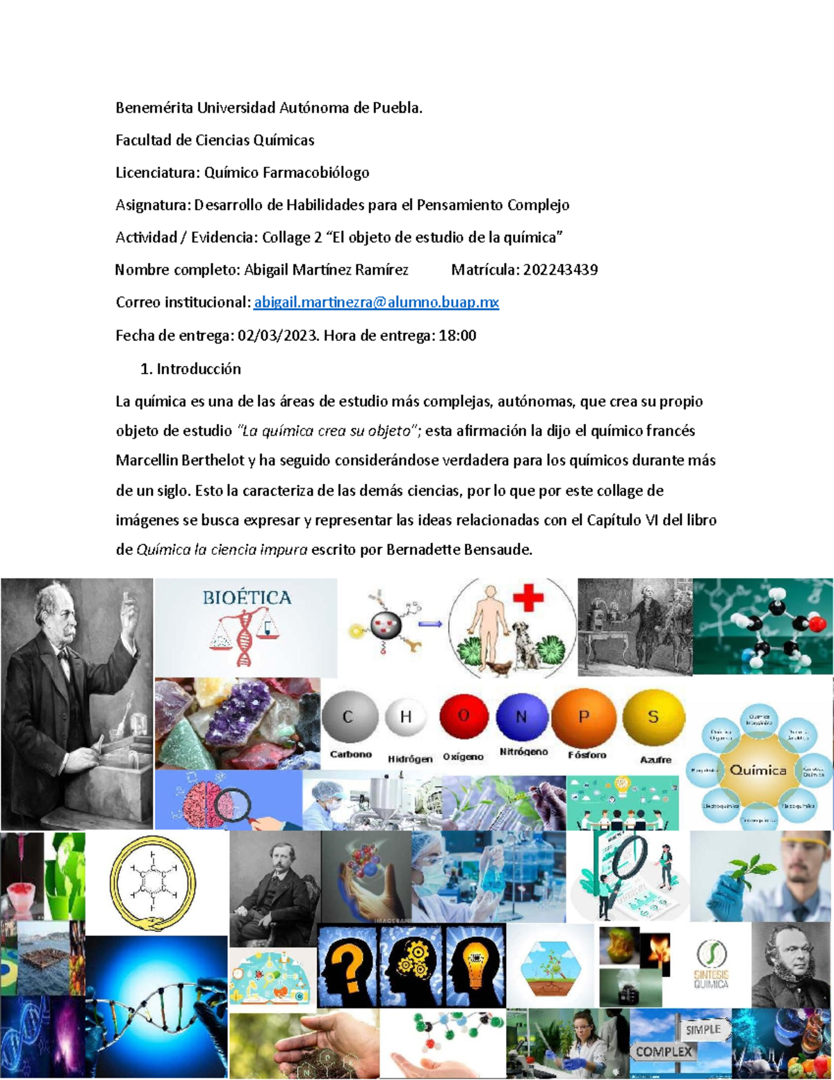 Collage 2 - Benemérita Universidad Autónoma de Puebla. Facultad de ...
