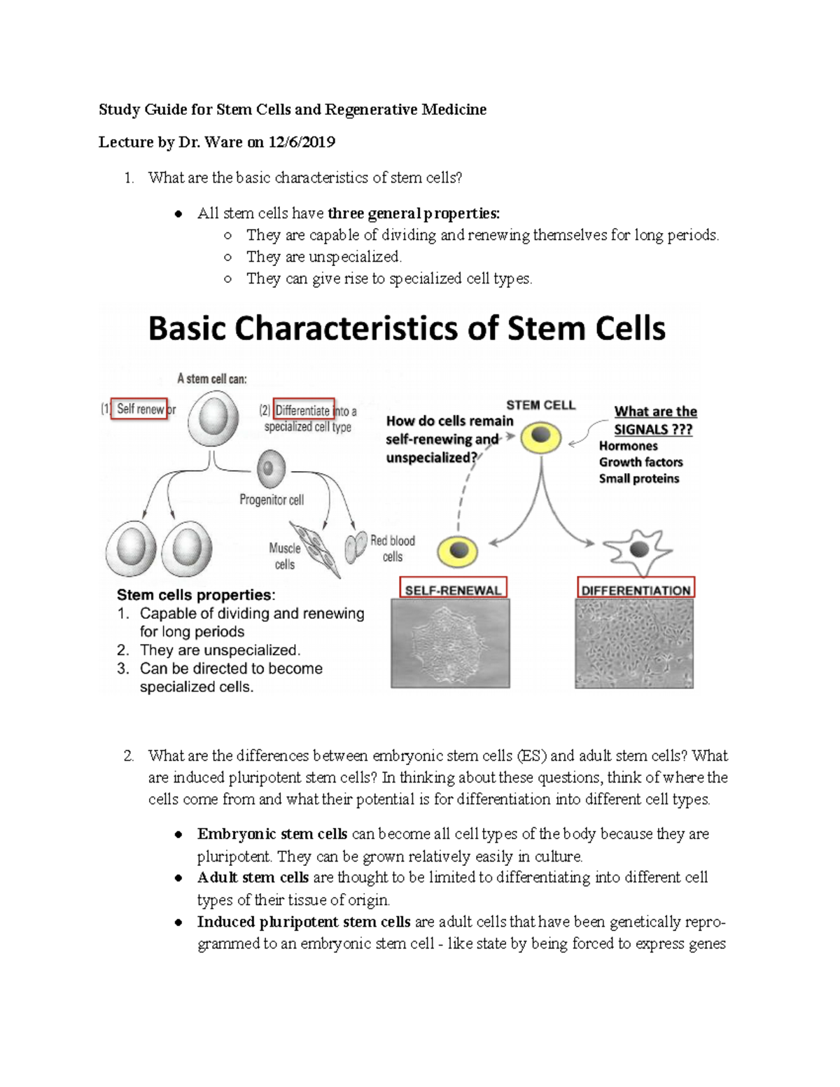 Stem Cells and Regenerative Medicine - Study Guide for Stem Cells and ...