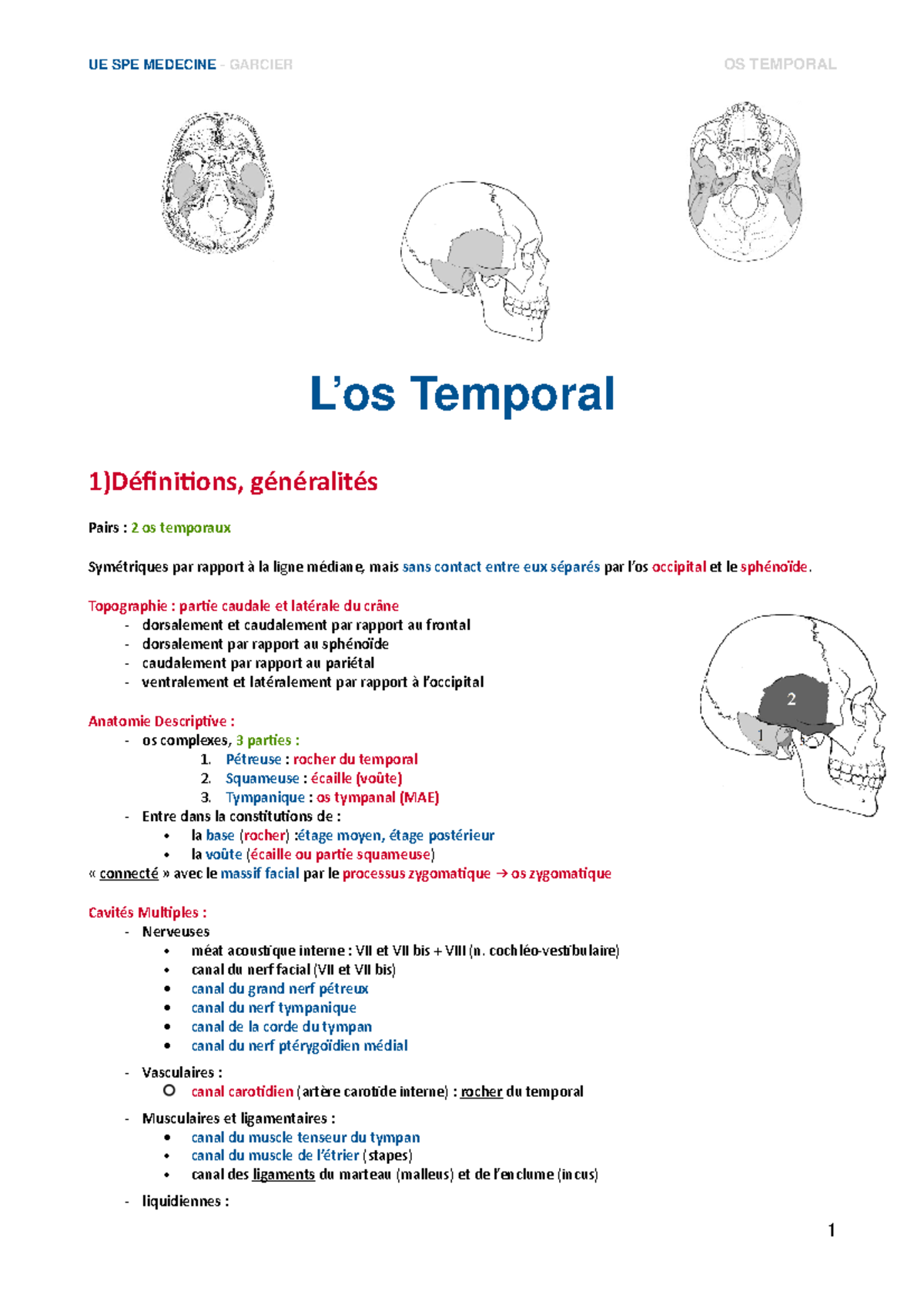 6- L'os temporal - L’os Temporal 1)Déiniions, généralités Pairs : 2 os ...