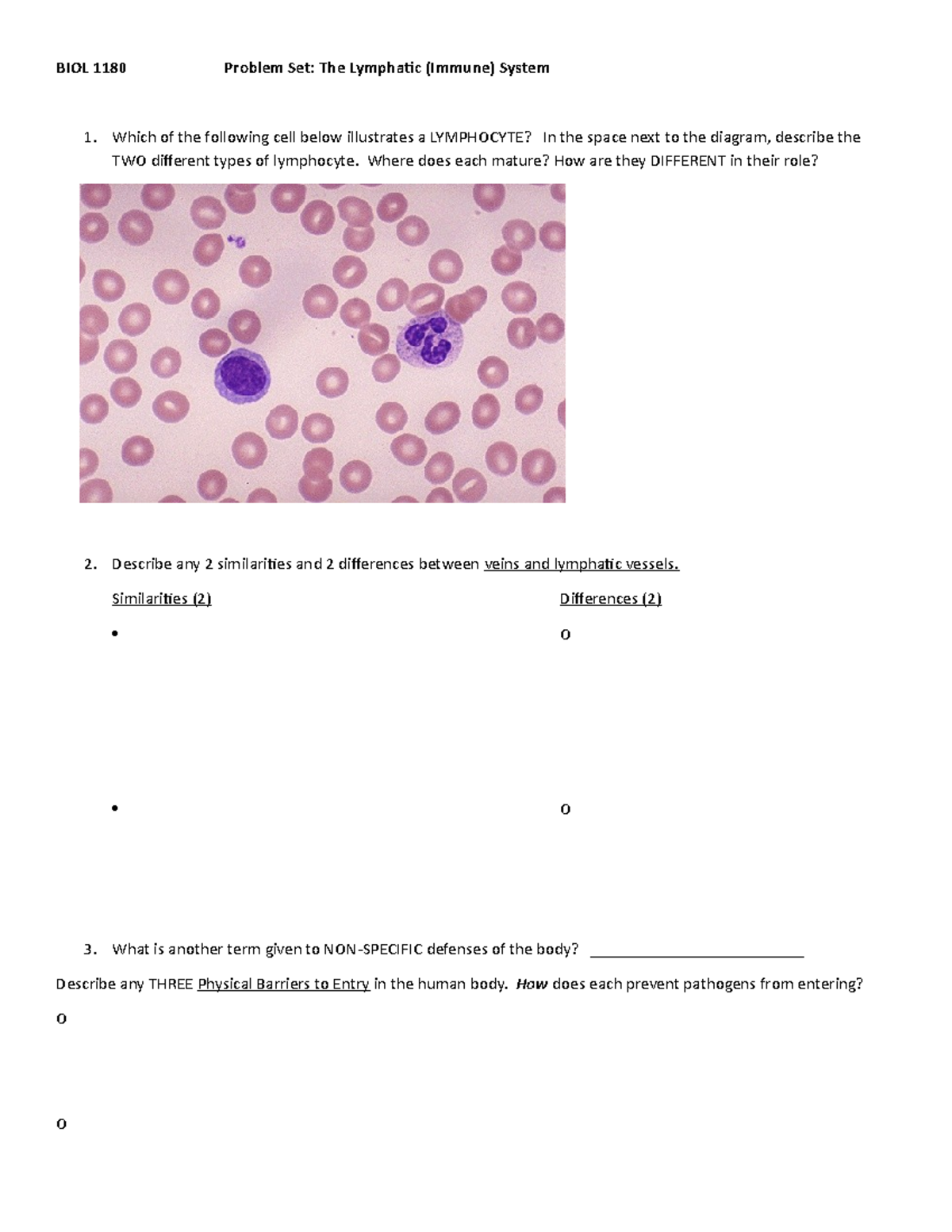 Ch 12 Problem Set The Lymphatic System - BIOL 1180 Problem Set: The ...